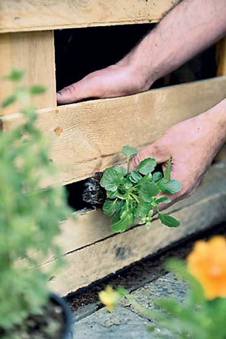 How to Make a Vertical Pallet Planter for a Vegetable and Herb Garden ...